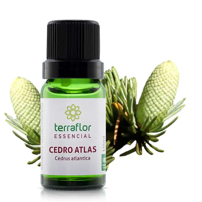 Óleo Essencial Cedro Atlas Terraflor - 10ml - Blend Essencial
