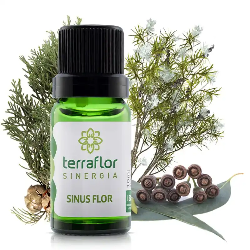Sinergia Sinus Flor (Sinusite e Respiração) Terraflor - 10ml - Blend ...
